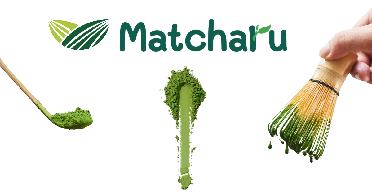 About Matcha – Matcharu